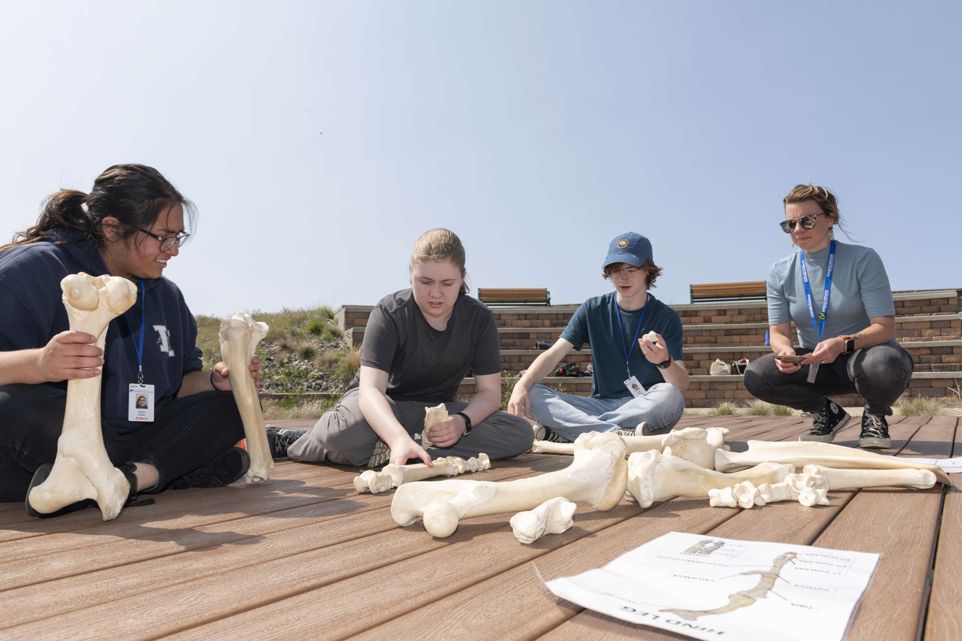 Denver Museum of Nature and Science