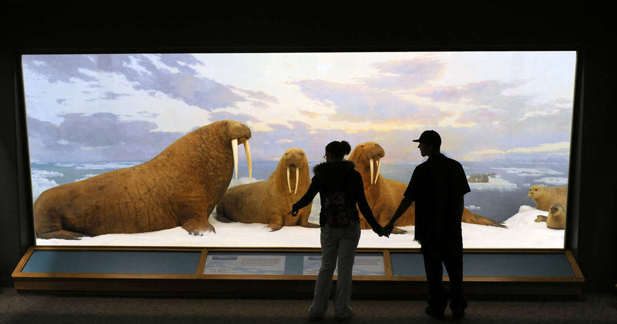 Denver Museum of Nature and Science