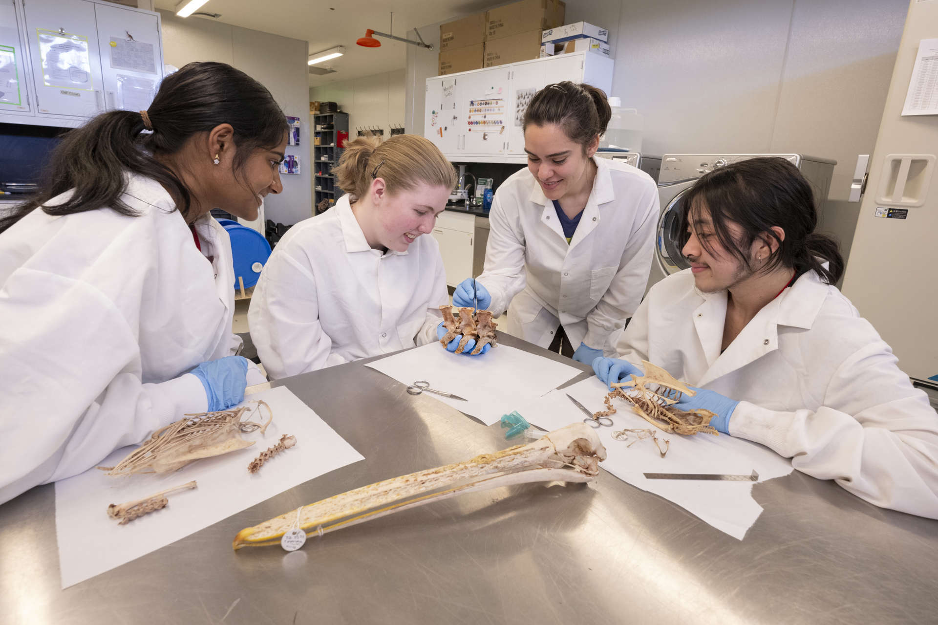 Denver Museum of Nature and Science