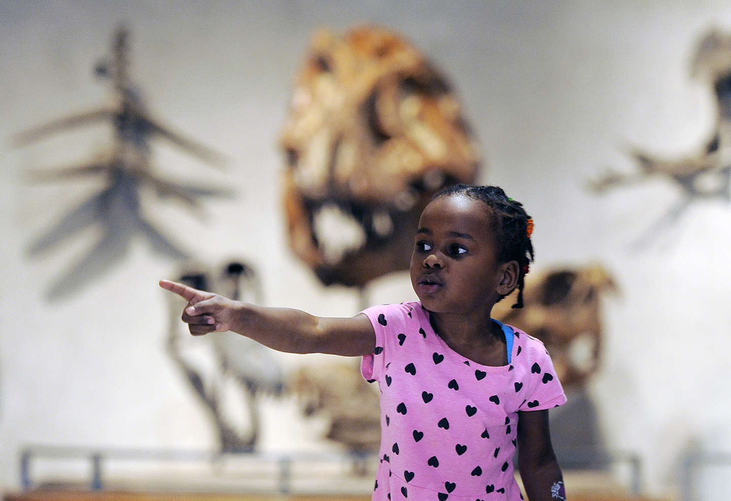 Denver Museum of Nature and Science