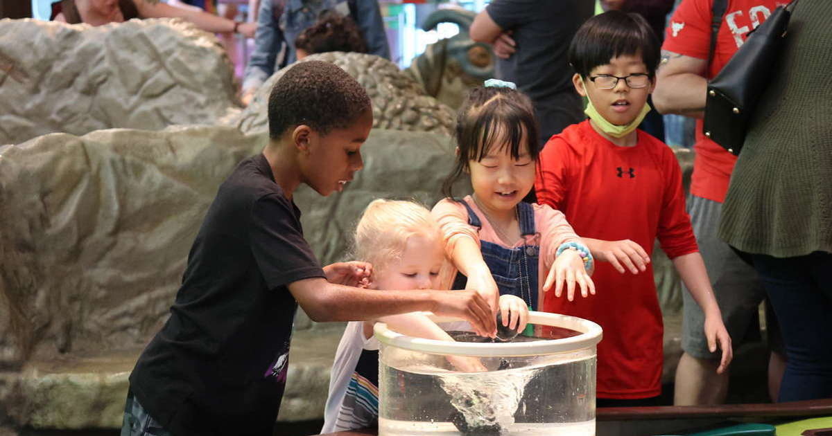 Denver Museum of Nature and Science